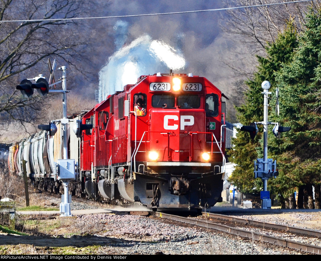CP 6231
